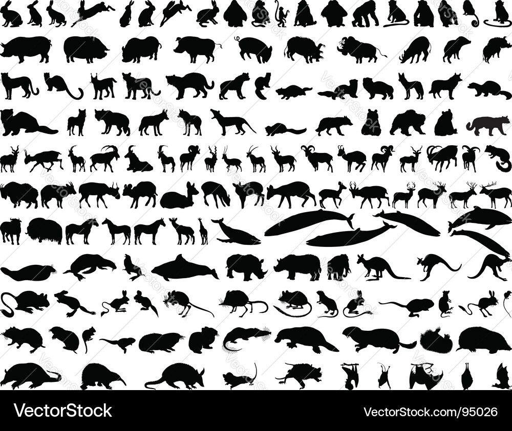 Animal Silhouettes Royalty Free Vector Image - VectorStock