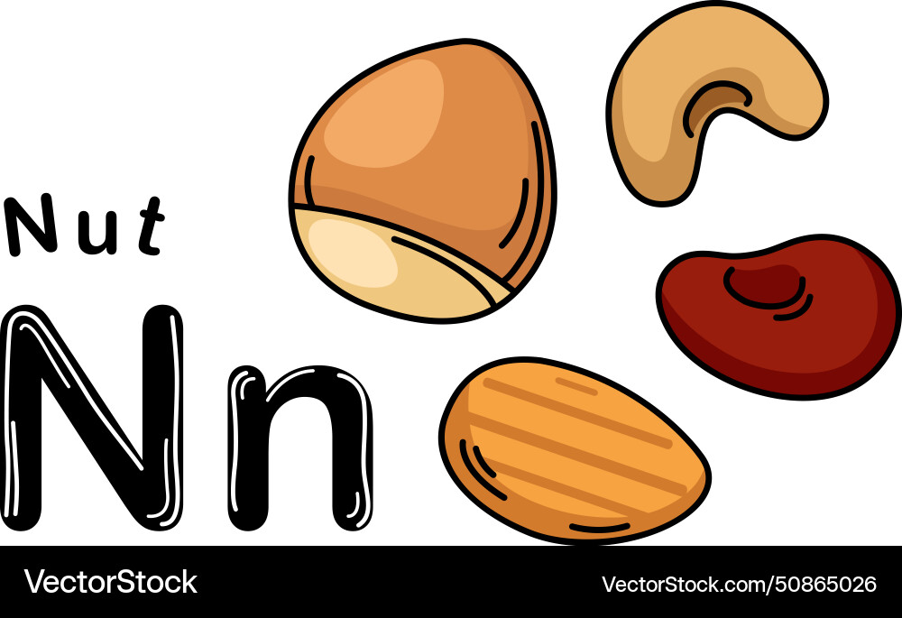 Isolated alphabet letter n-nut Royalty Free Vector Image