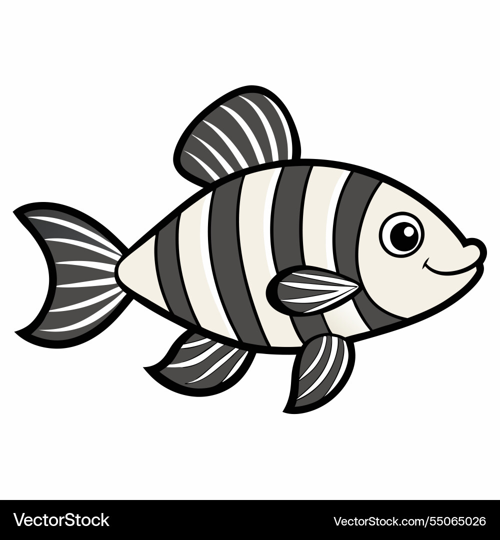 Zebra danio fish isolated flat on white background