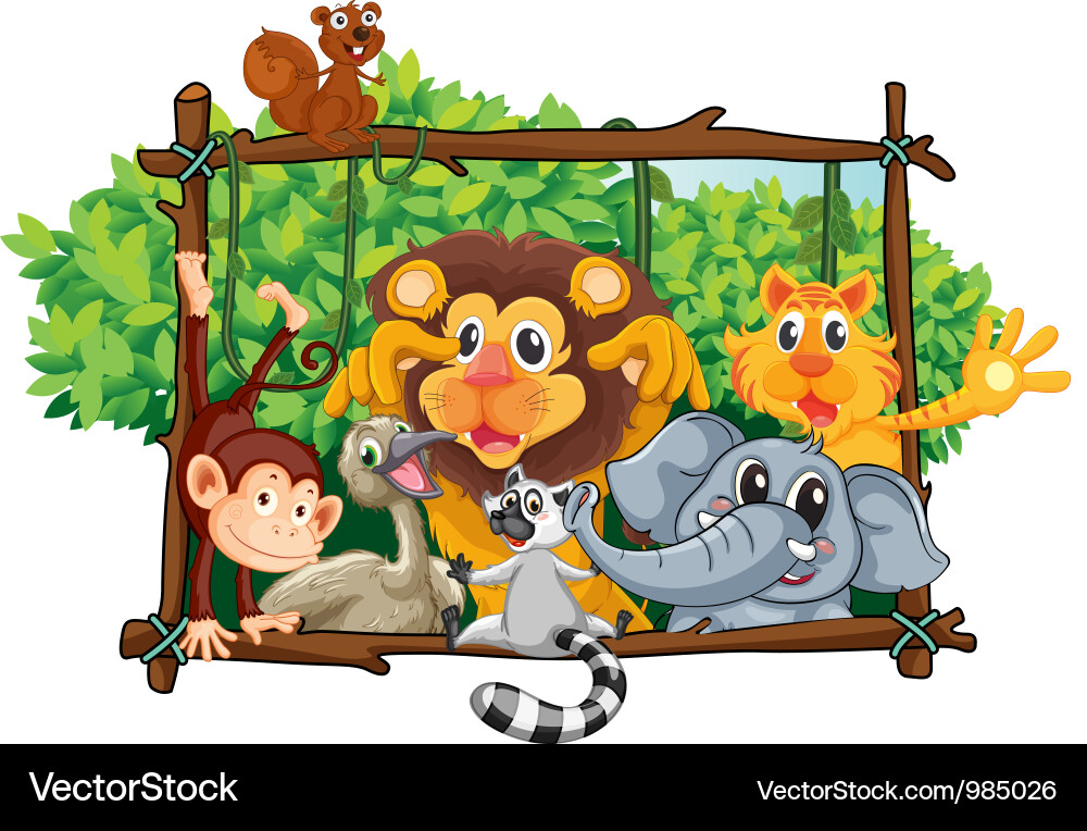 Zoo animals Royalty Free Vector Image - VectorStock