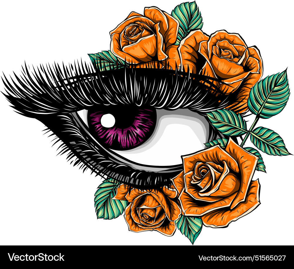 Beautiful woman eye draw Royalty Free Vector Image
