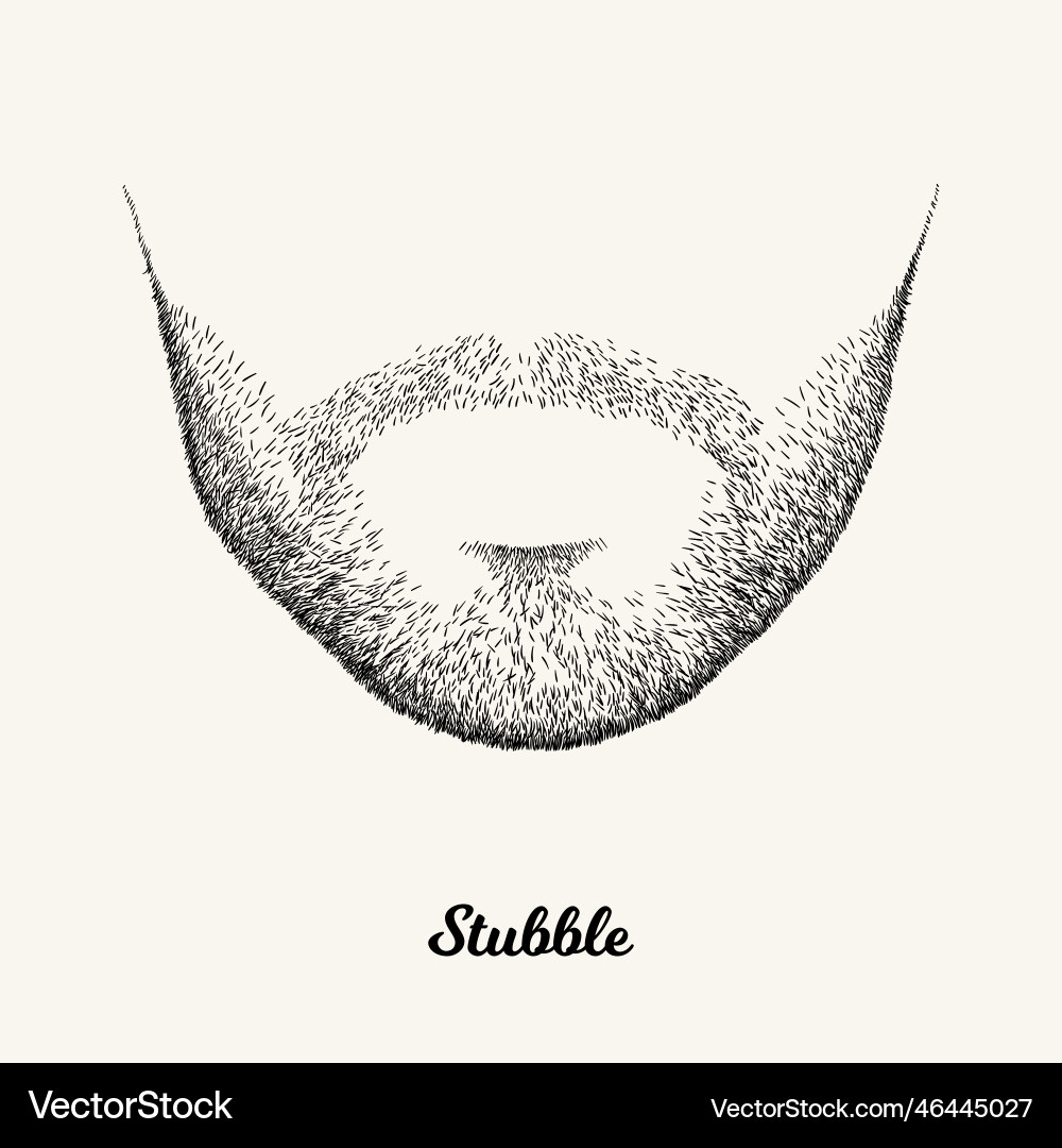 Male stubble Royalty Free Vector Image - VectorStock