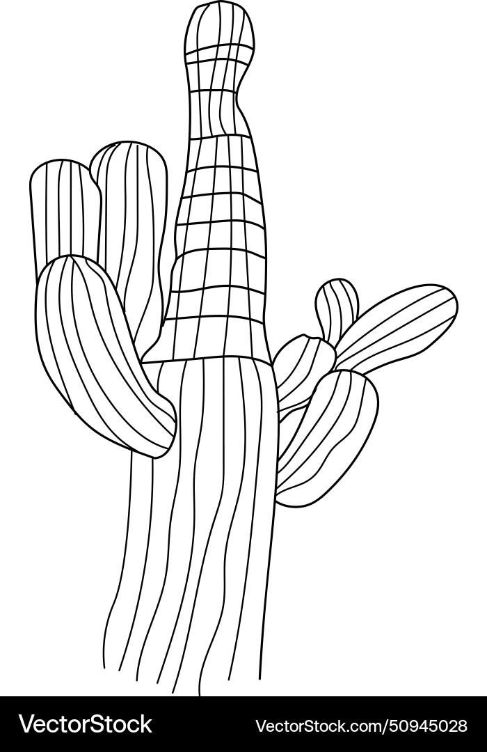 Cactus line drawings Royalty Free Vector Image