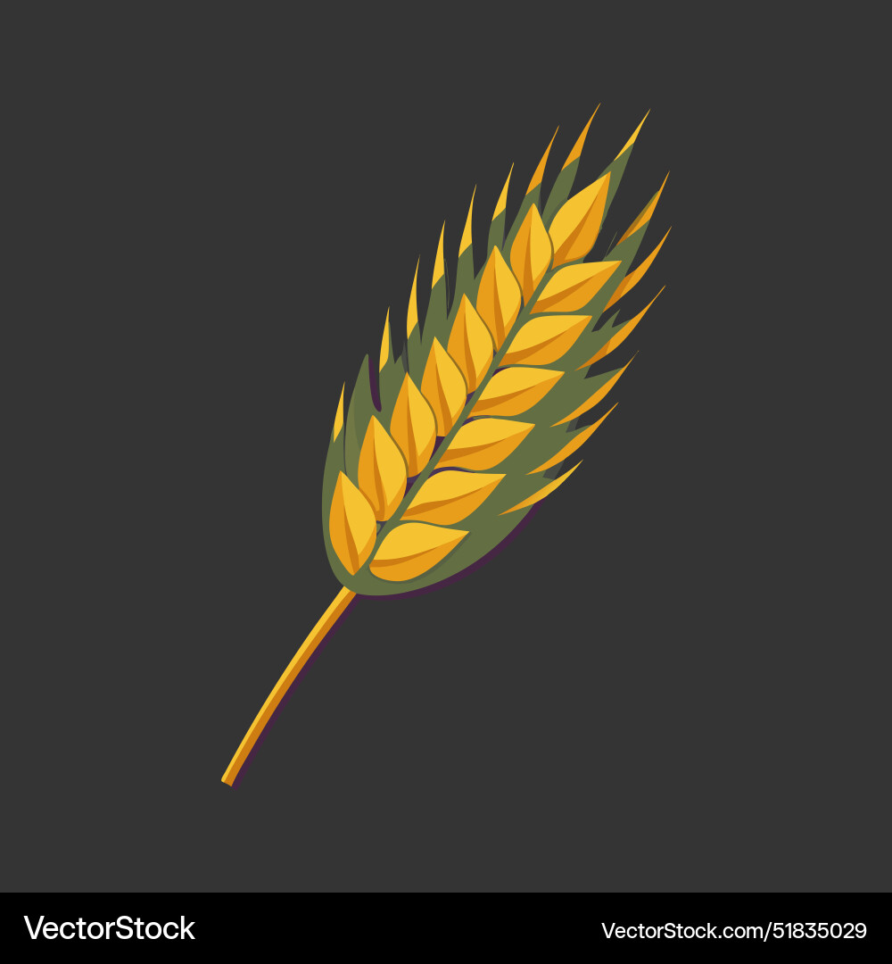 Wheat Royalty Free Vector Image - VectorStock