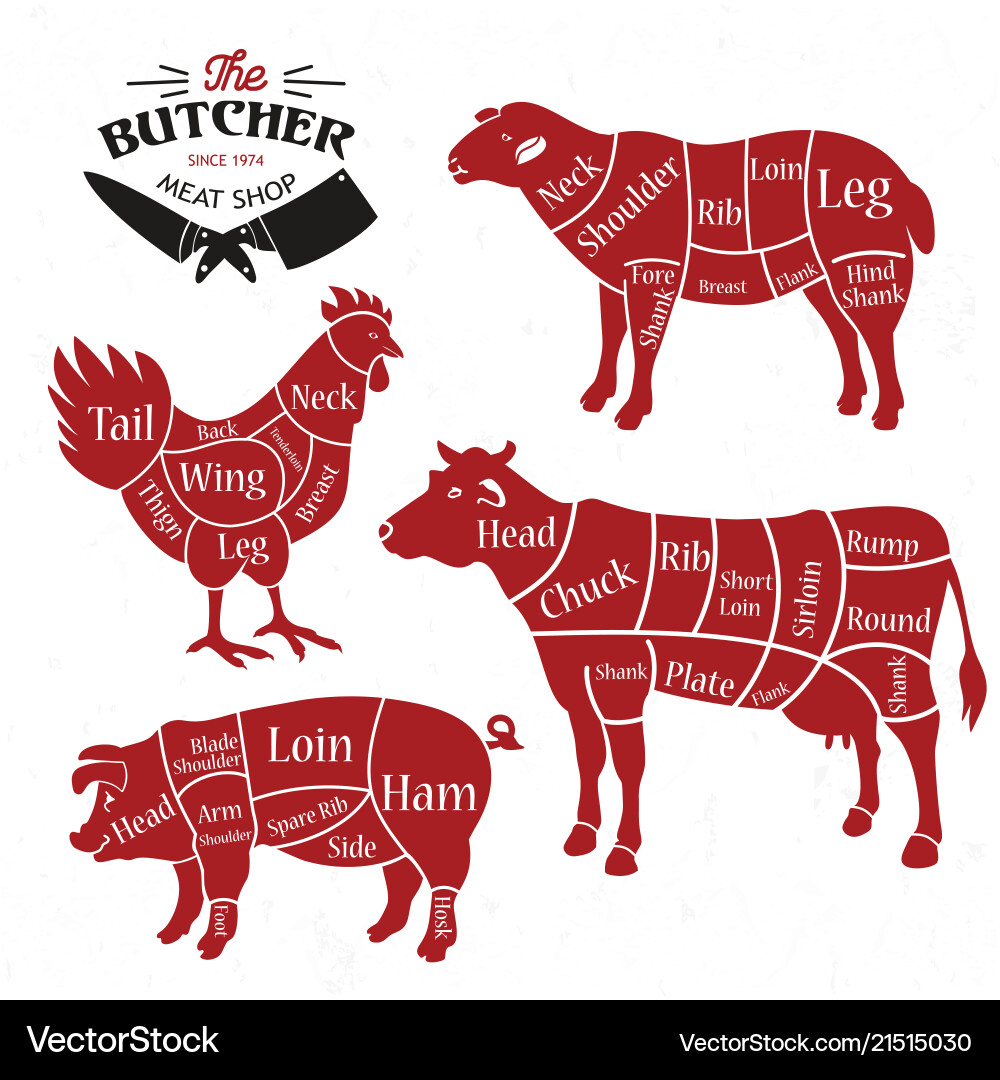 Animal Meat Cut Diagrams – Royalty-Free Vector | VectorStock