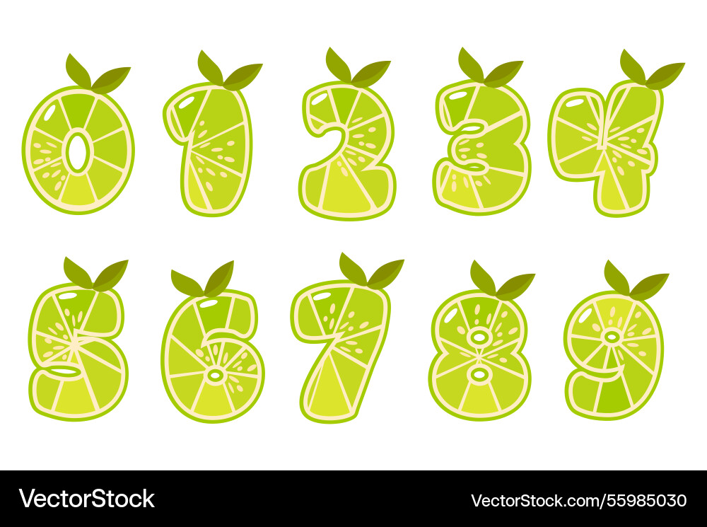 Lime fruit numbers citrus Royalty Free Vector Image