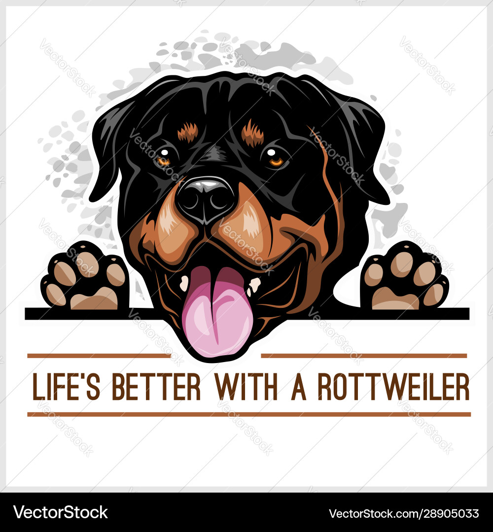 Rottweiler Dog Logo Vector Images (over 450)