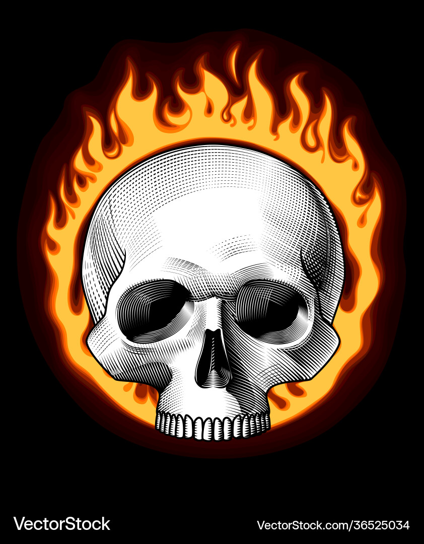 Engraved human skull full face in a ring fire Vector Image
