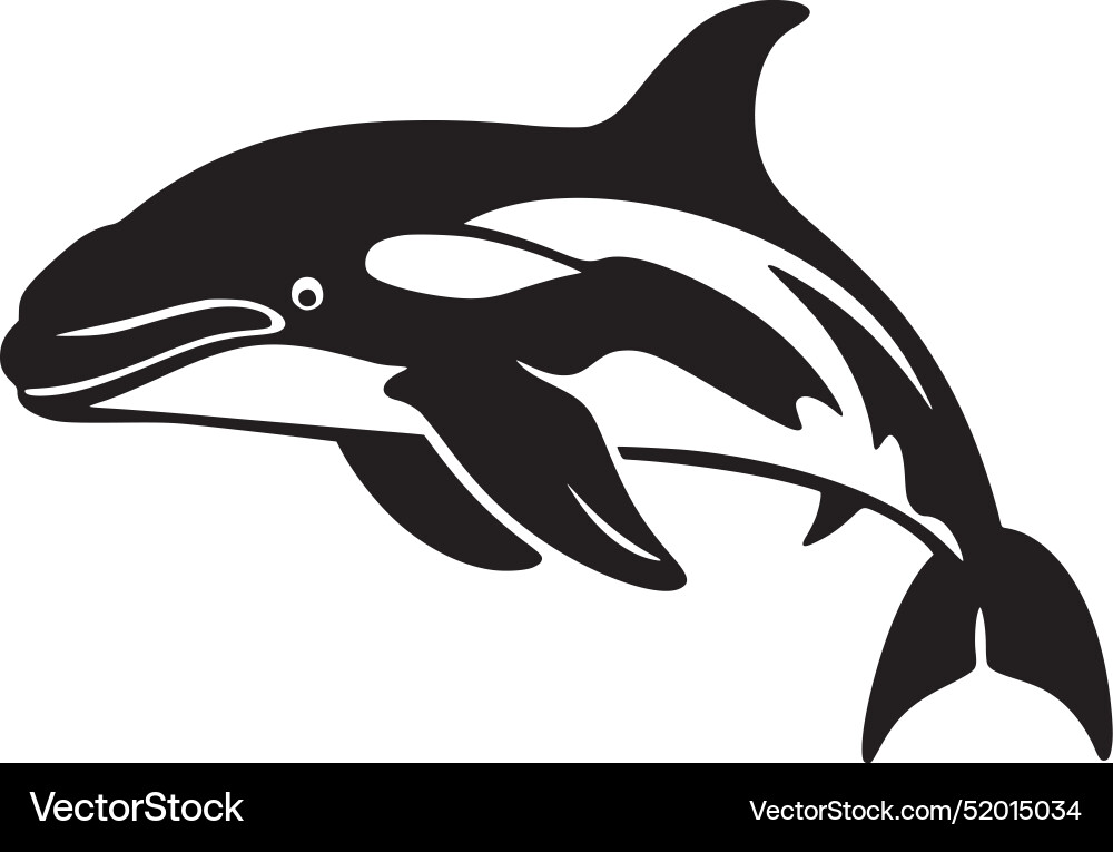 Orca - black and white Royalty Free Vector Image