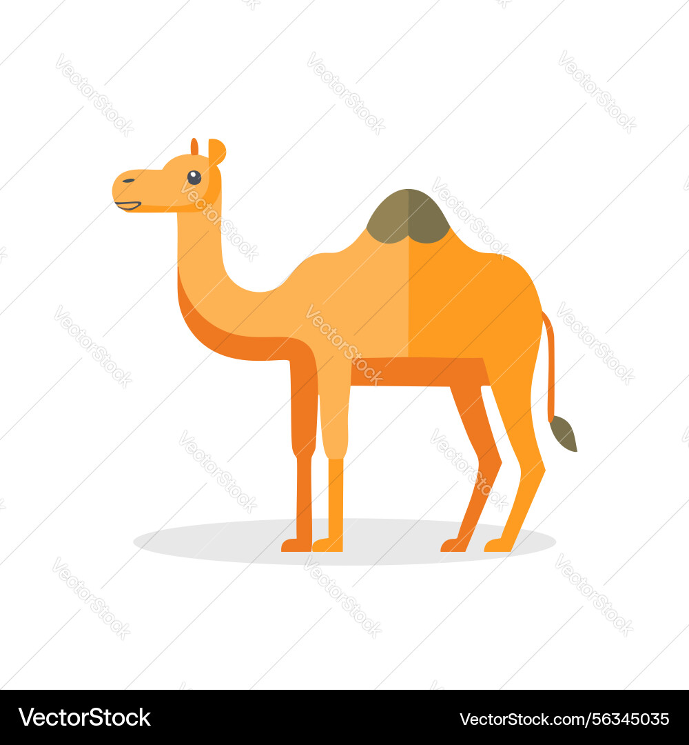 A camel Royalty Free Vector Image - VectorStock