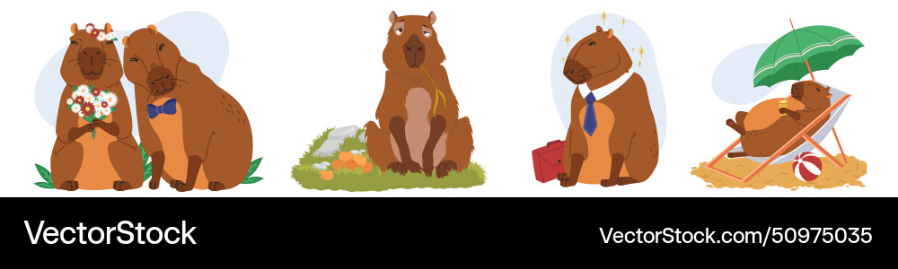 Cute capybara characters daily routine lovely Vector Image