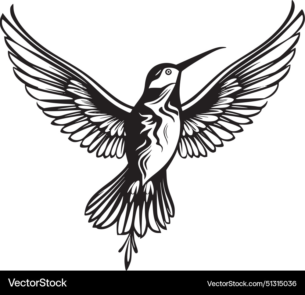 Hummingbird - minimalist and simple silhouette Vector Image