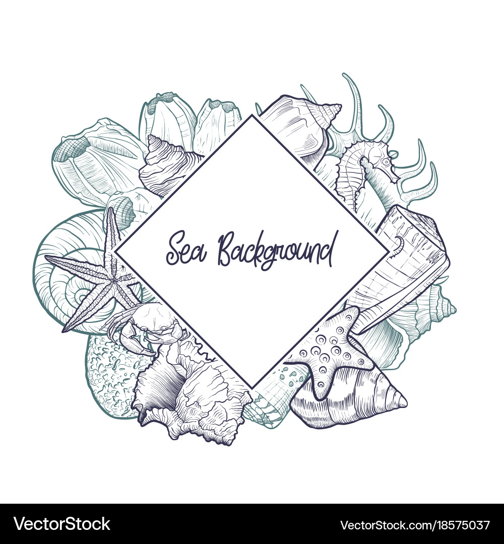 Background with seashells Royalty Free Vector Image