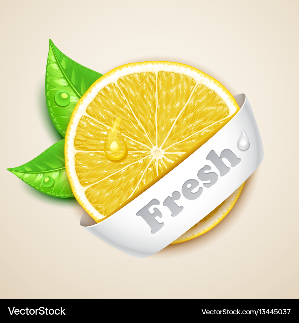 Fresh lemon Royalty Free Vector Image - VectorStock