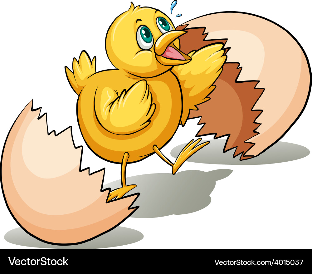Hatching Chick in Shell Royalty Free Vector Image