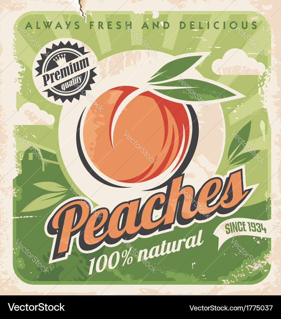 Peaches vintage poster template Royalty Free Vector Image