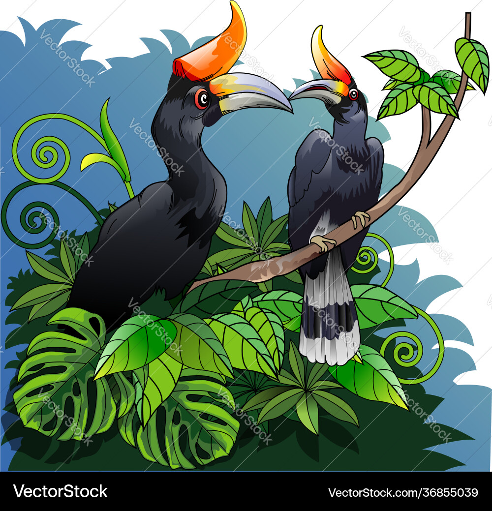Burung enggang or rangkong Royalty Free Vector Image