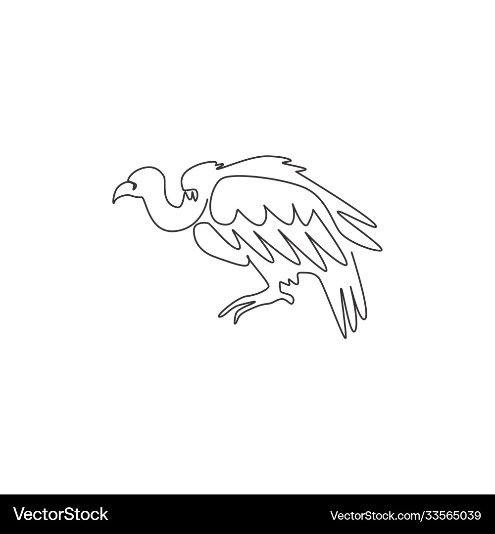 Vulture Line Drawing How To Draw A Cartoon Vulture, Drawing, Step By