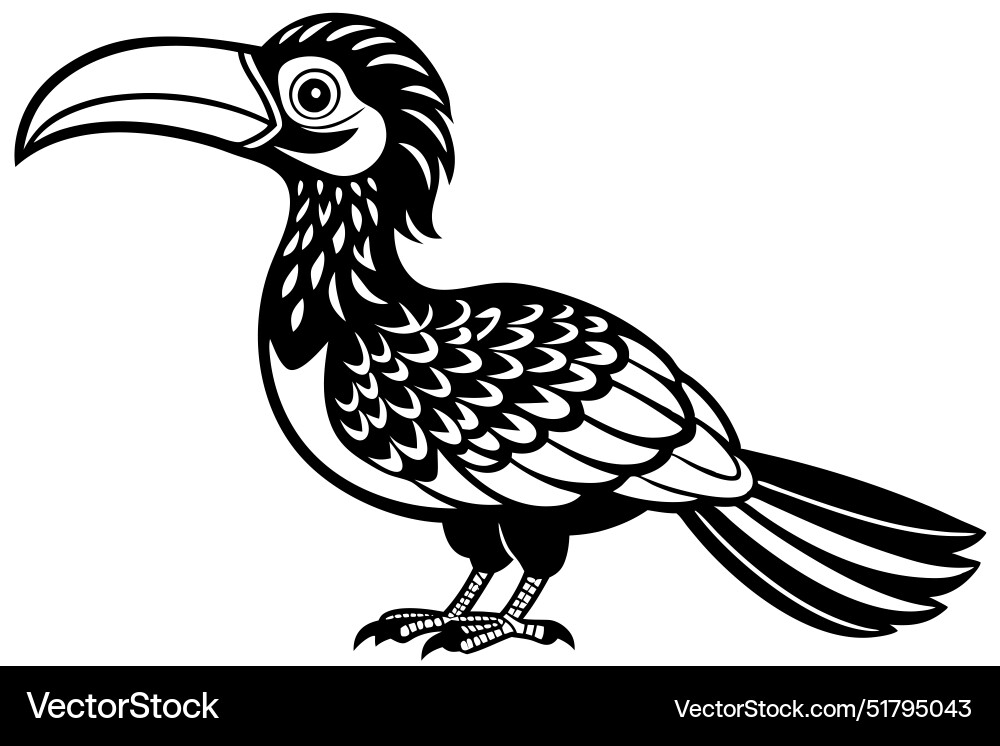 Full body view impressive beak hornbill i Vector Image