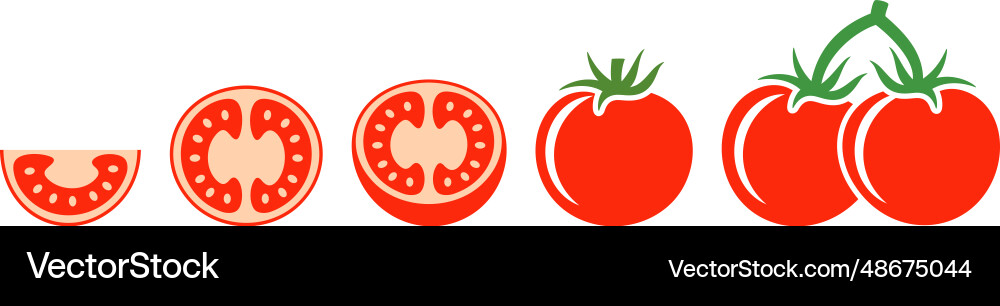 Tomato Royalty Free Vector Image - VectorStock