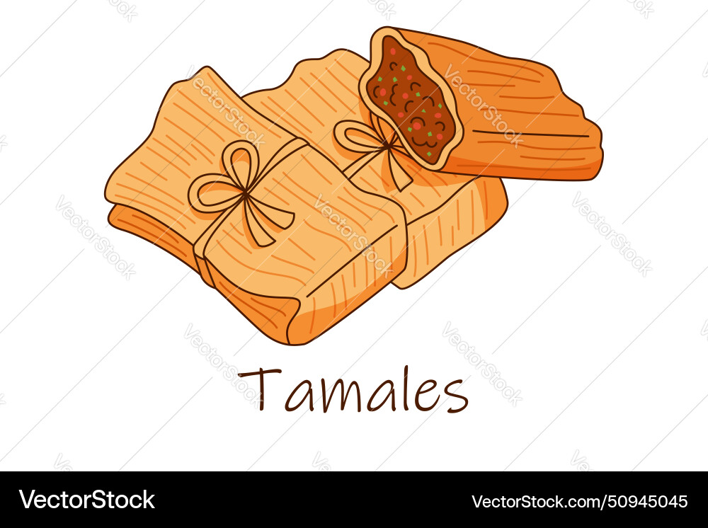 Mexican cuisine tamales Royalty Free Vector Image