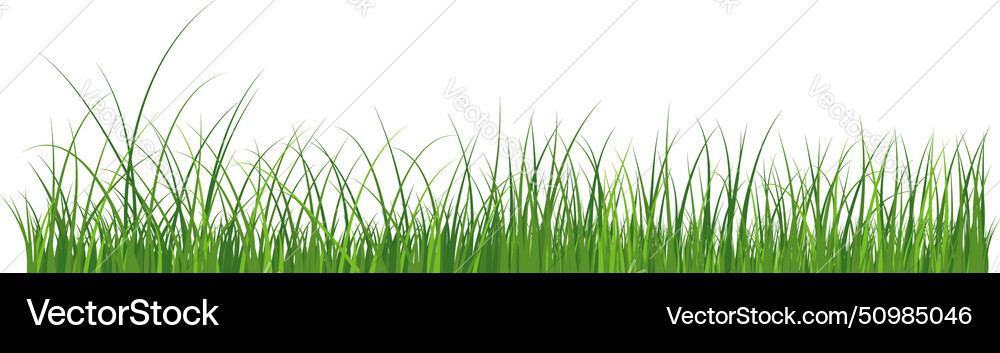 Grass border Royalty Free Vector Image - VectorStock