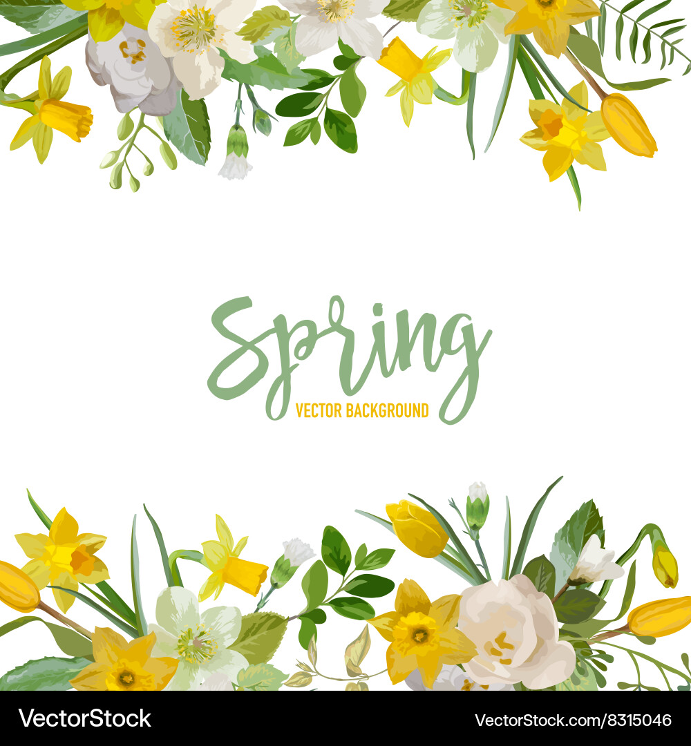 Spring blossom background - flowers Royalty Free Vector