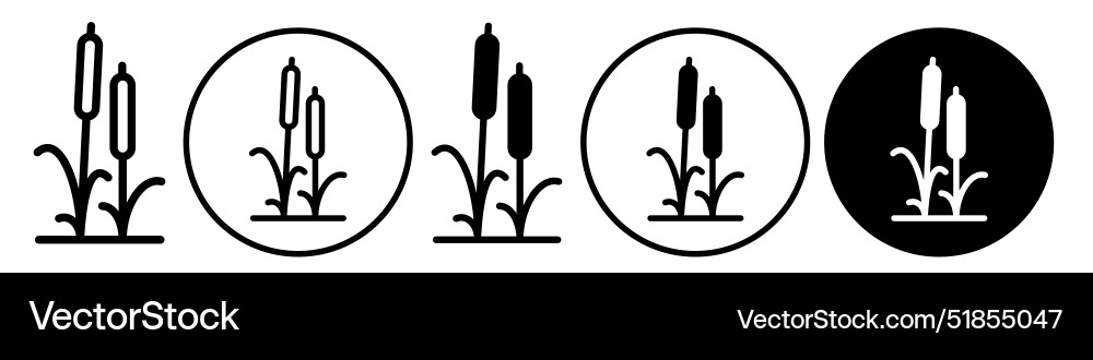 Cattail icon set collection for web Royalty Free Vector