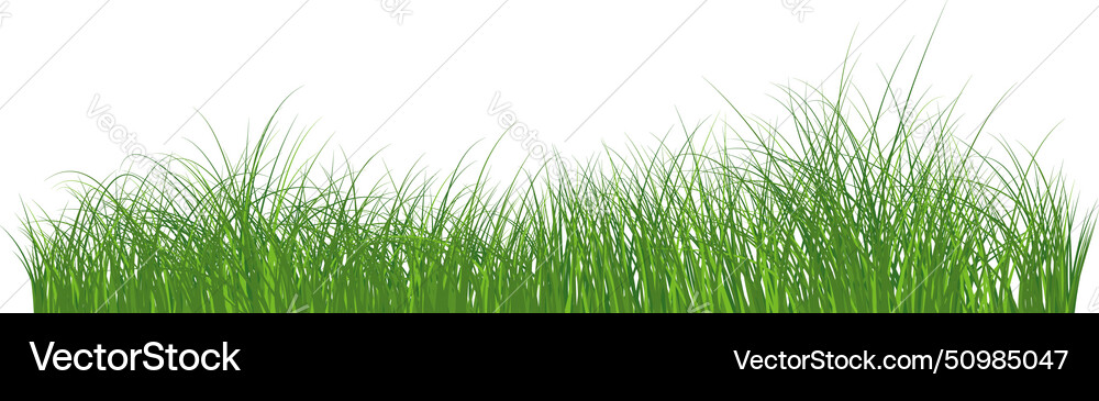 Grass border Royalty Free Vector Image - VectorStock