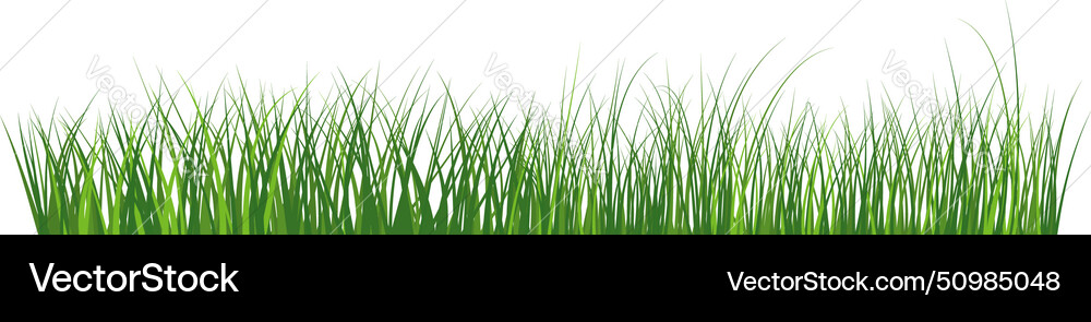 Grass border Royalty Free Vector Image - VectorStock