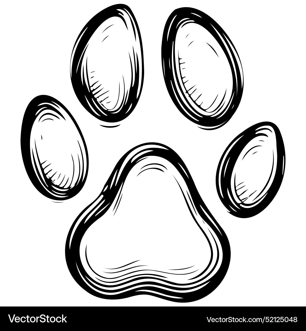 Paw print drawing black line isolated Royalty Free Vector