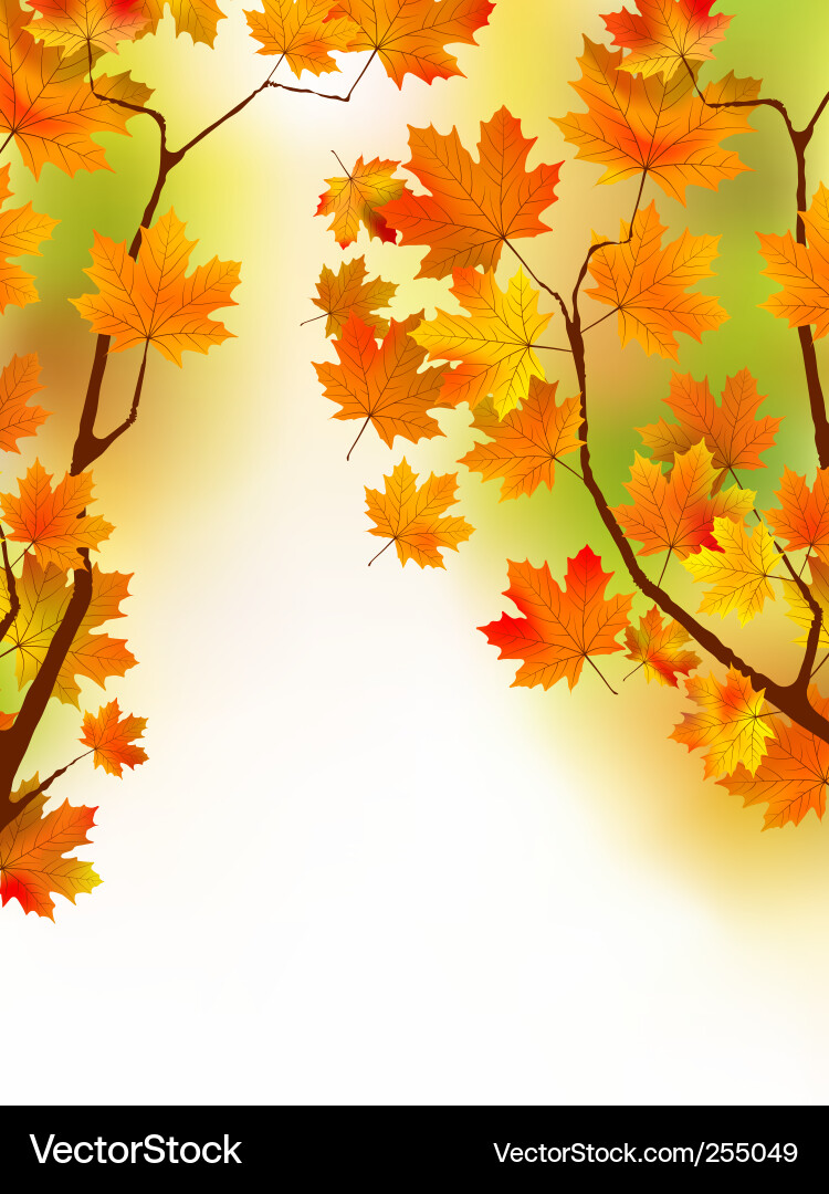 Autumn maple leaves in sunlight Royalty Free Vector Image