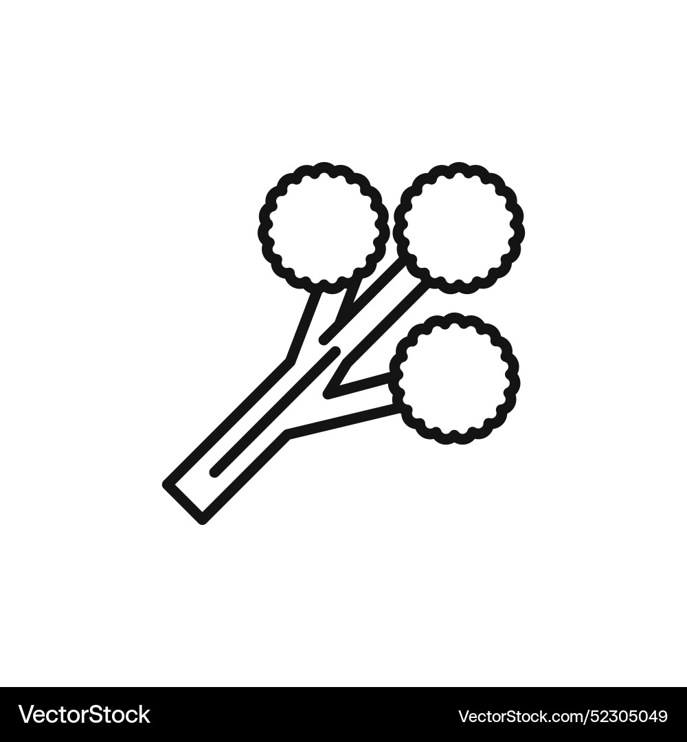 Celery icon outline collection in black Royalty Free Vector