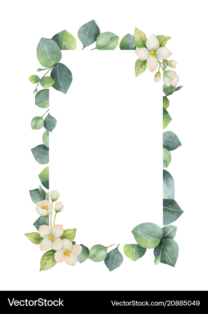 Eucalyptus Watercolor Frame Royalty Free Vector Image