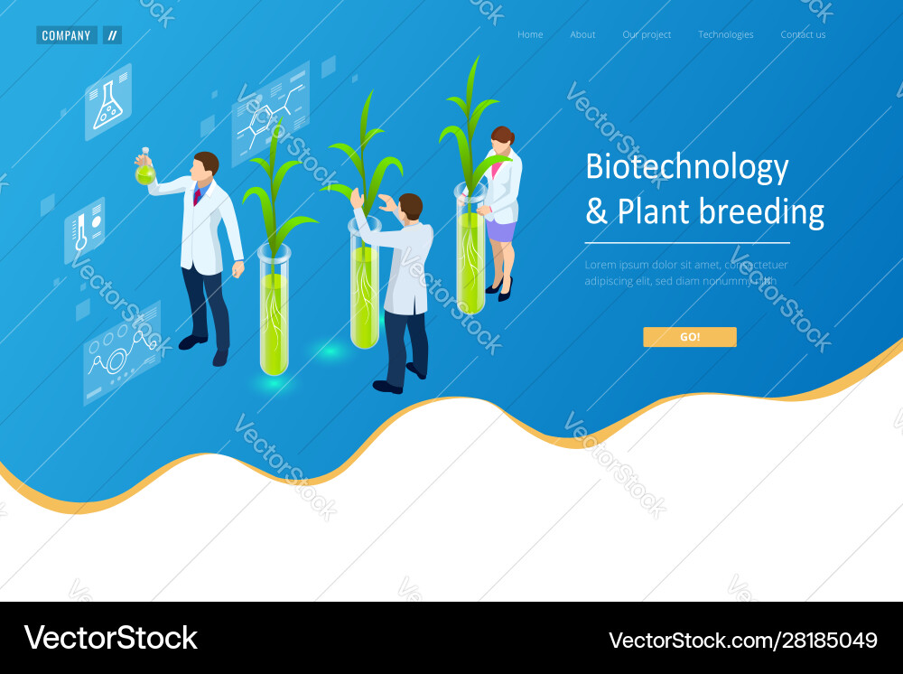 Medical Technologist Vector Images (over 170)