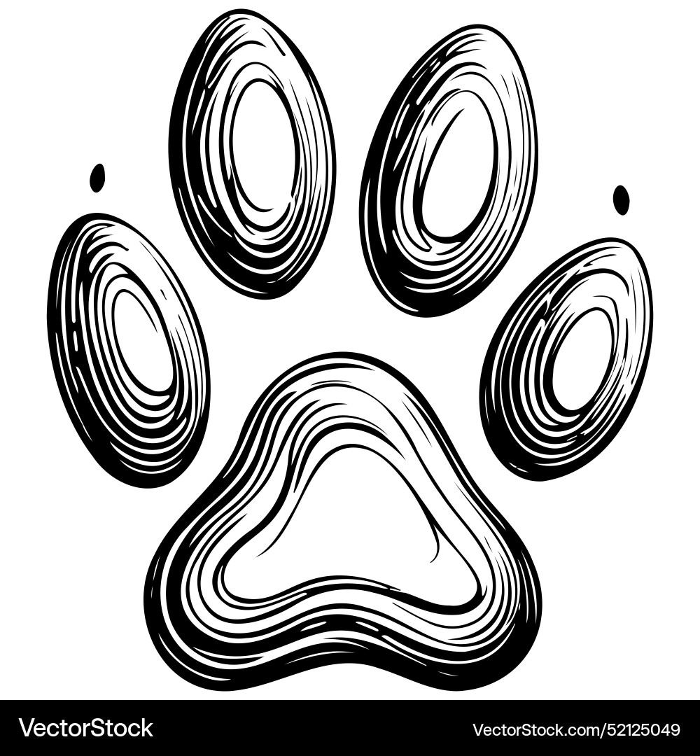 Paw print drawing vintage line image Royalty Free Vector