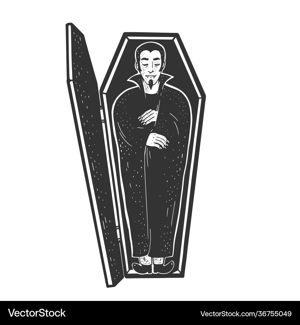 Vampire in coffin sketch Royalty Free Vector Image