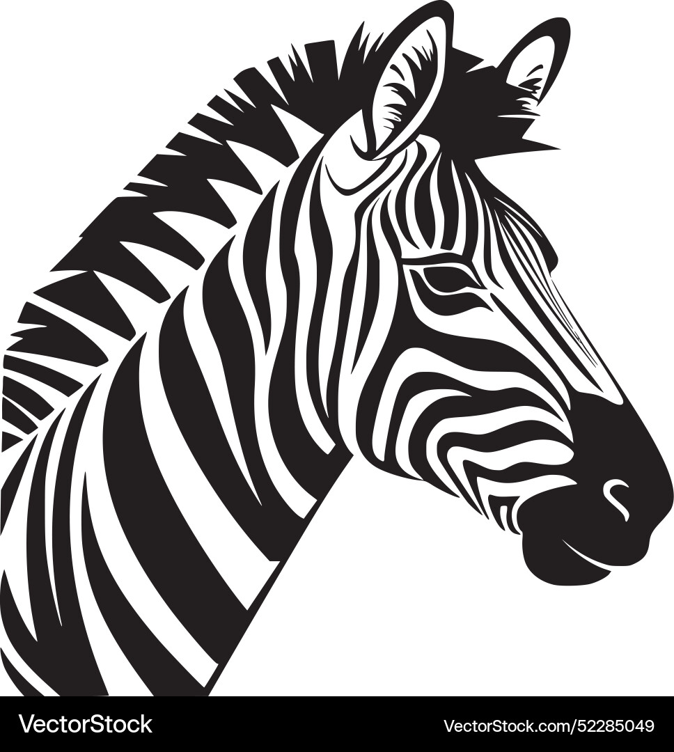 Zebra - high quality logo ideal for t-shirt Vector Image
