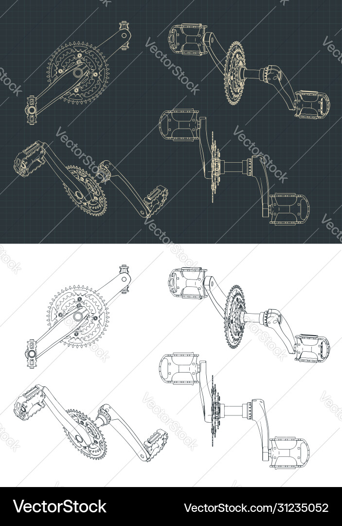 Bicycle crankset with pedals Royalty Free Vector Image