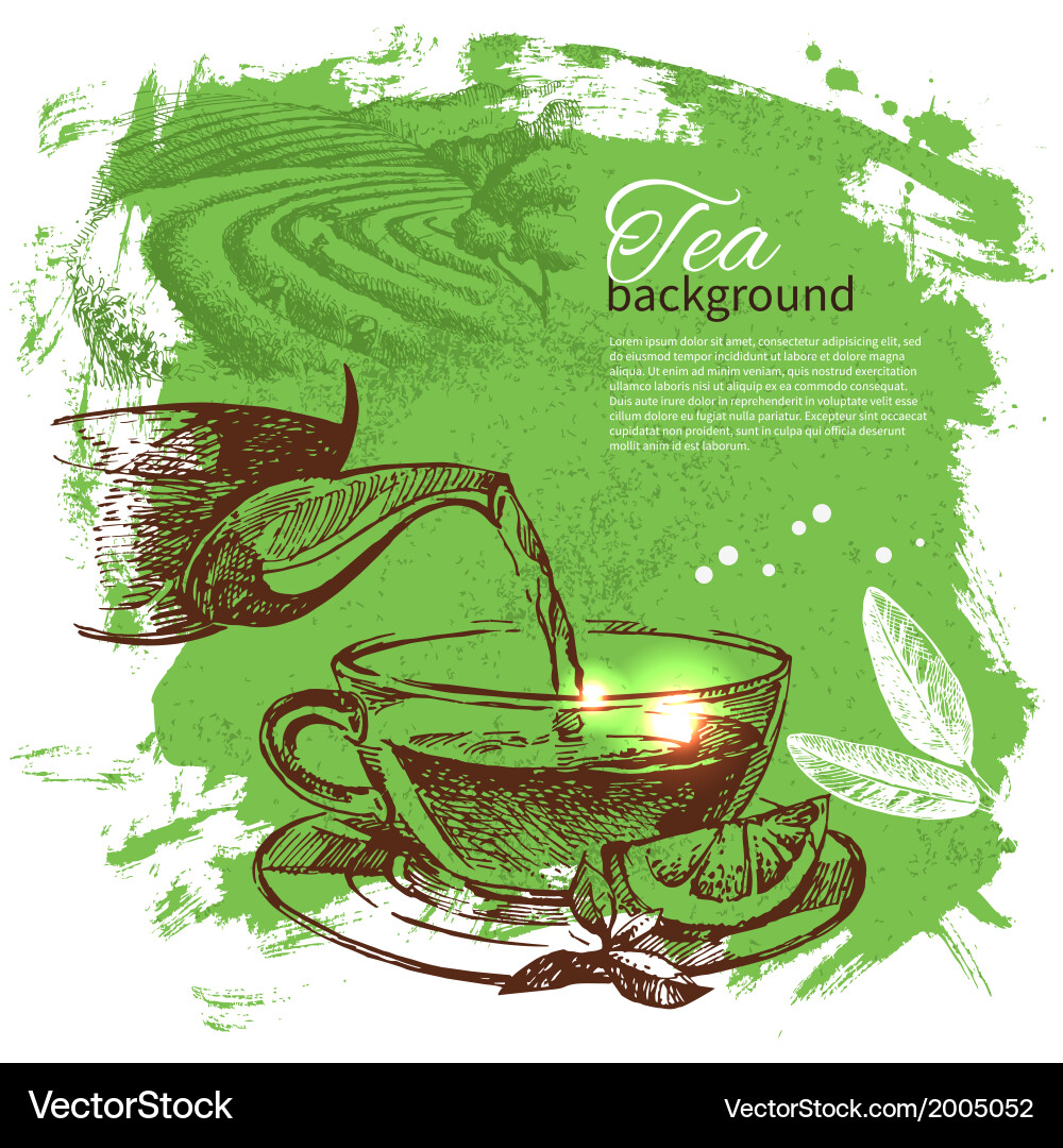 Tea vintage hand drawn sketch background Vector Image
