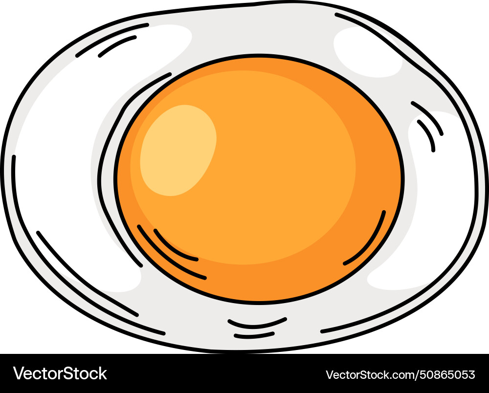 Colorful yolk outline white on background Vector Image