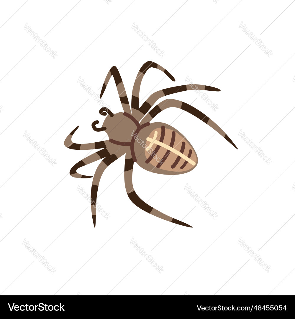 Big spider flat Royalty Free Vector Image - VectorStock