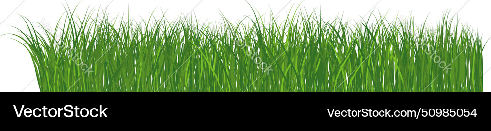 Grass border Royalty Free Vector Image - VectorStock