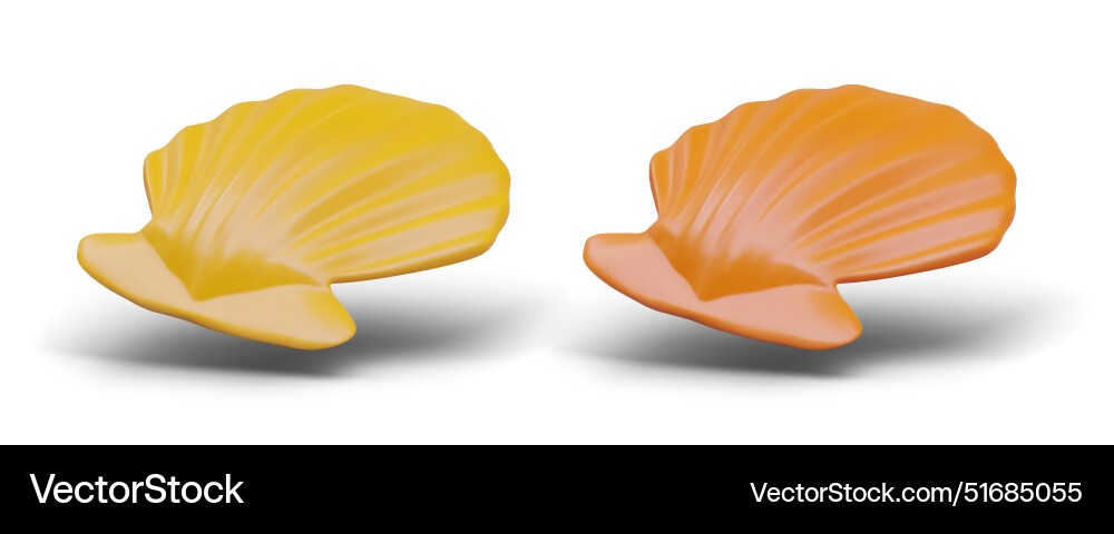 Set of closed flat scallop shells yellow Vector Image
