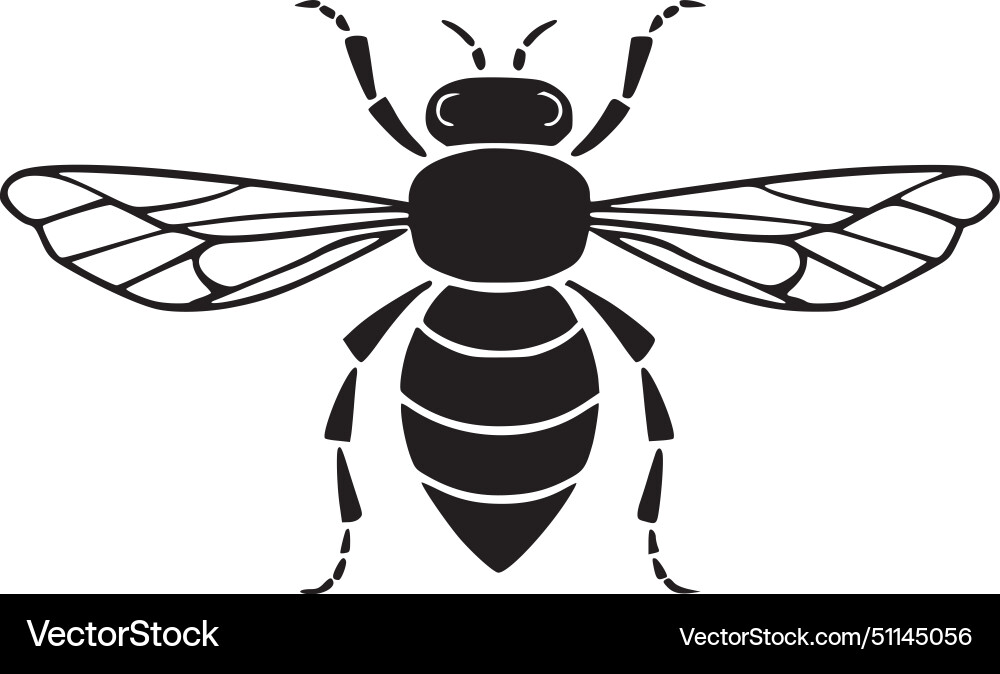 Fly - black and white isolated icon Royalty Free Vector