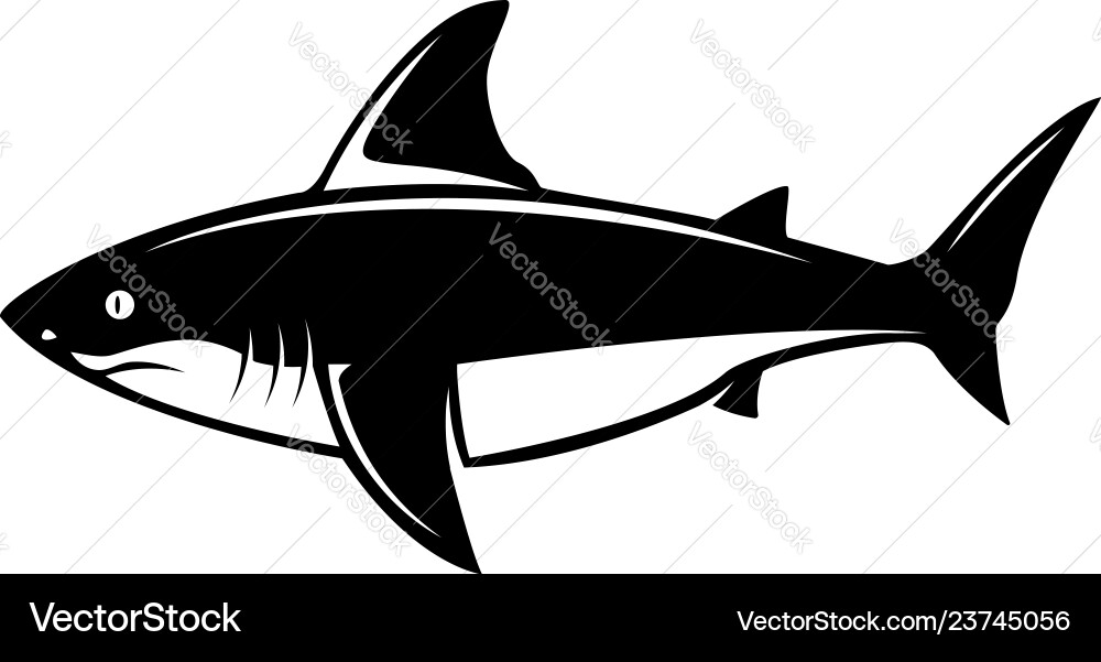 Shark design elements for logo label emblem sign Vector Image
