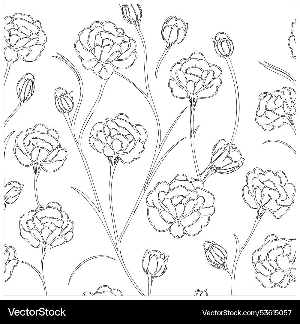 Carnation flower pattern outline sketch Royalty Free Vector