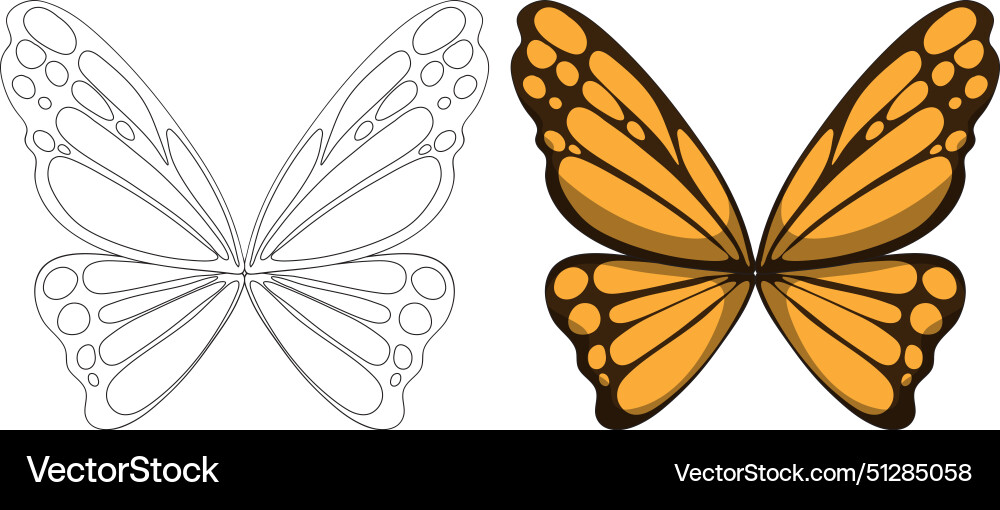 A butterfly colored and outline Royalty Free Vector Image