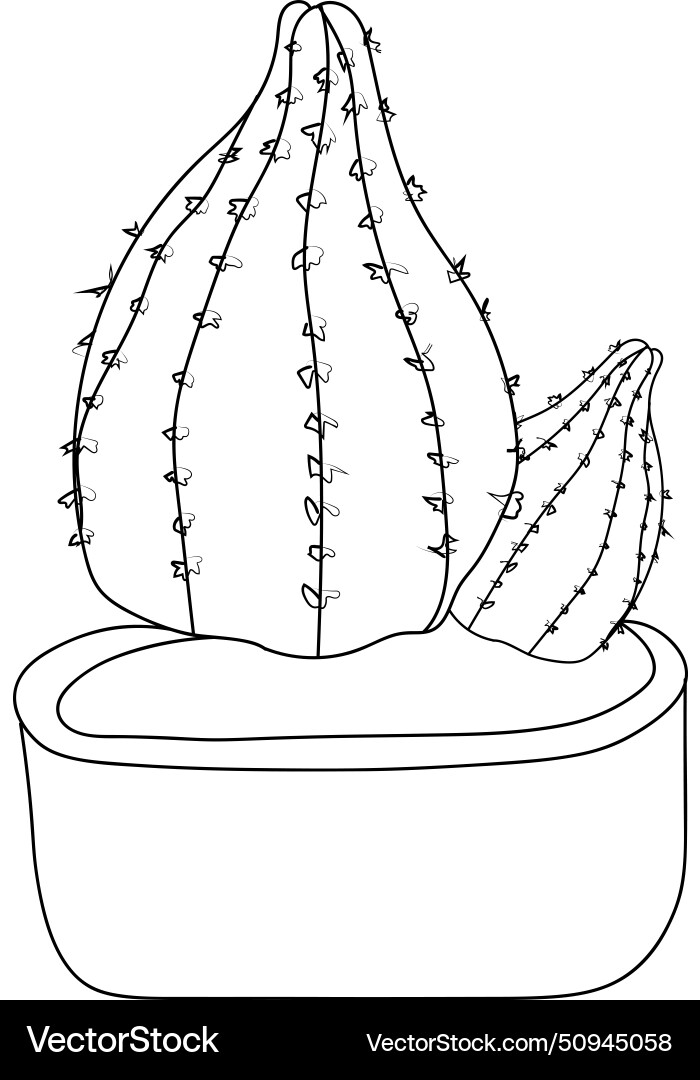 Simple cactus coloring page for children Vector Image