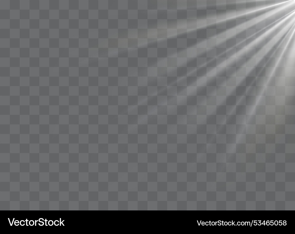 Transparent sunlight special lens flash light Vector Image